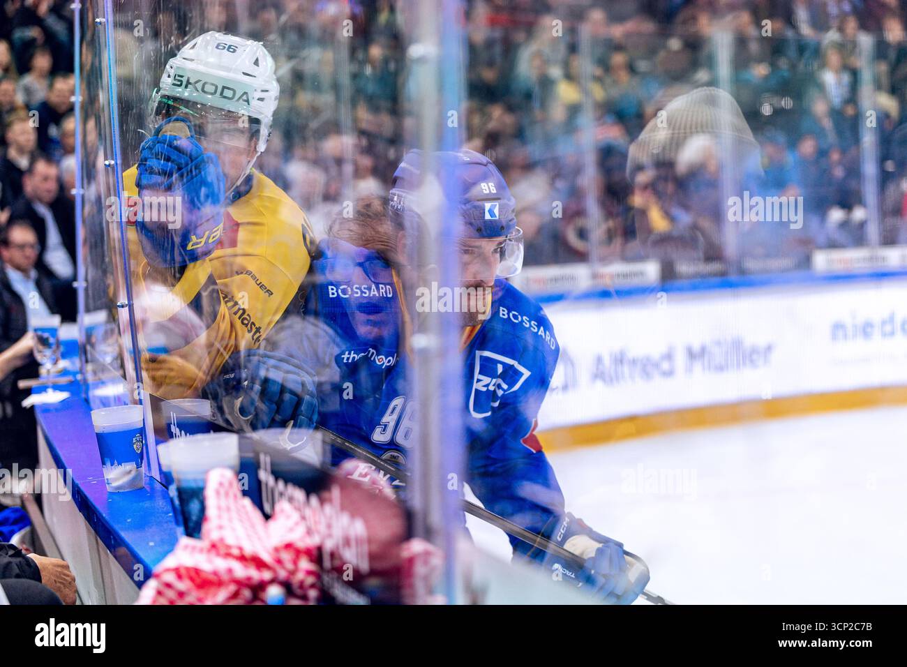 Check by Daniel Vozenilek #96 (EV Zug) against Valentin Nussbaumer #66 ...