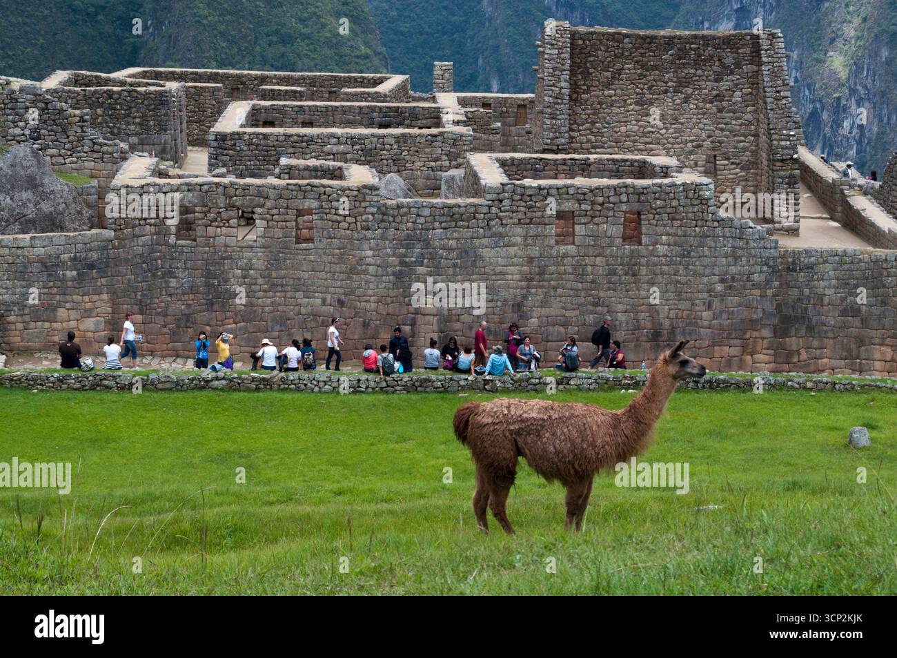 Museo de dominio hi-res stock photography and images - Alamy