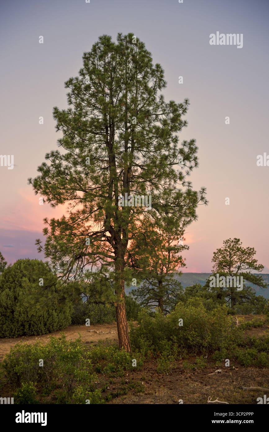 Beamreach ranch hi-res stock photography and images - Alamy