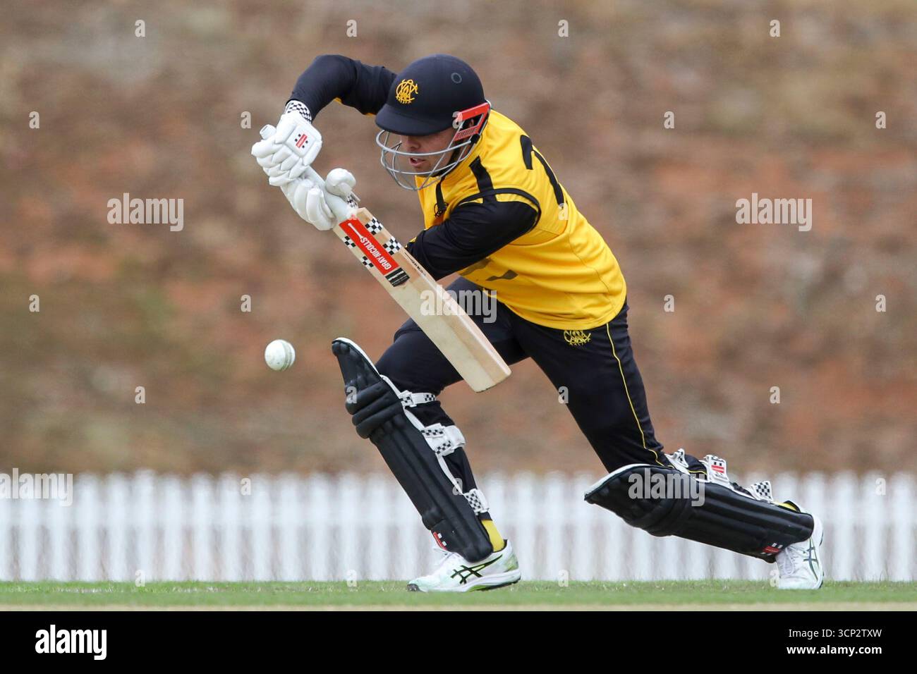 Sam Fanning of Western Australia during the One Day Cup match between ...