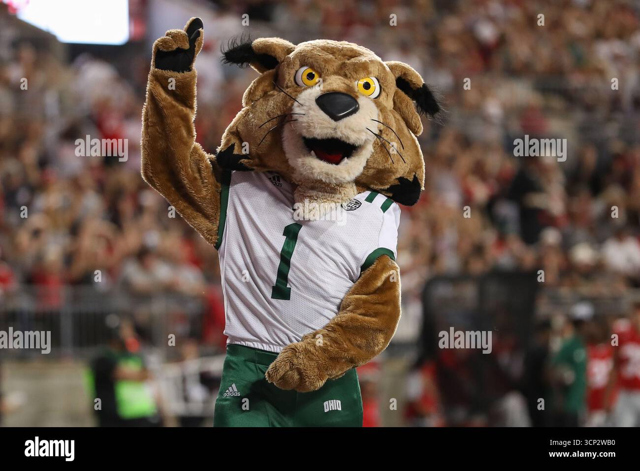 COLUMBUS, OH - SEPTEMBER 13: Rufus, the Ohio University Bobcat performs ...