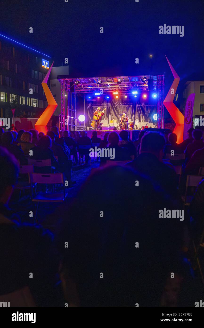 Concert at night on a colourfully illuminated open-air stage with ...