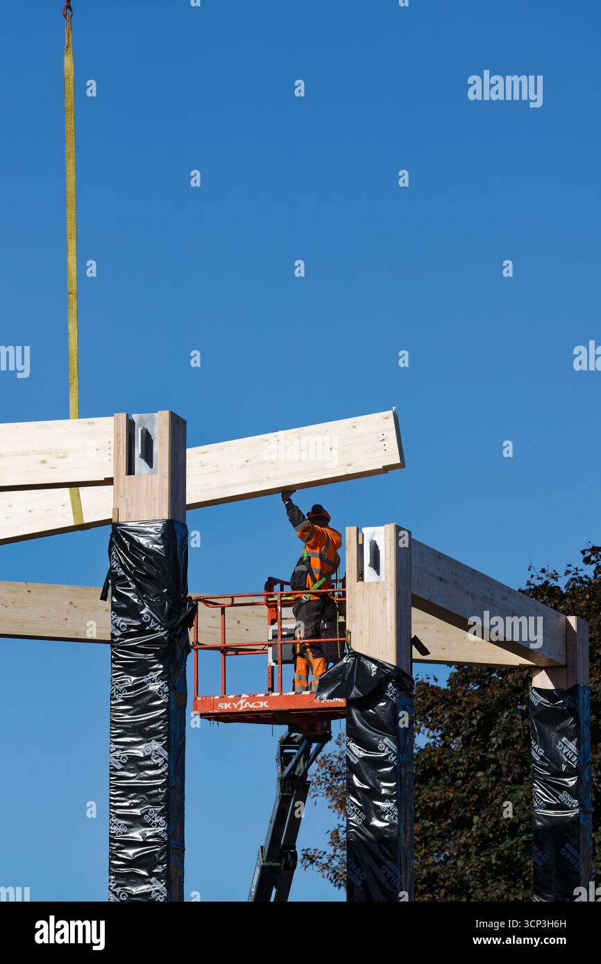 Laminated timber beam suspended from crane guided onto Glulam frame by ...