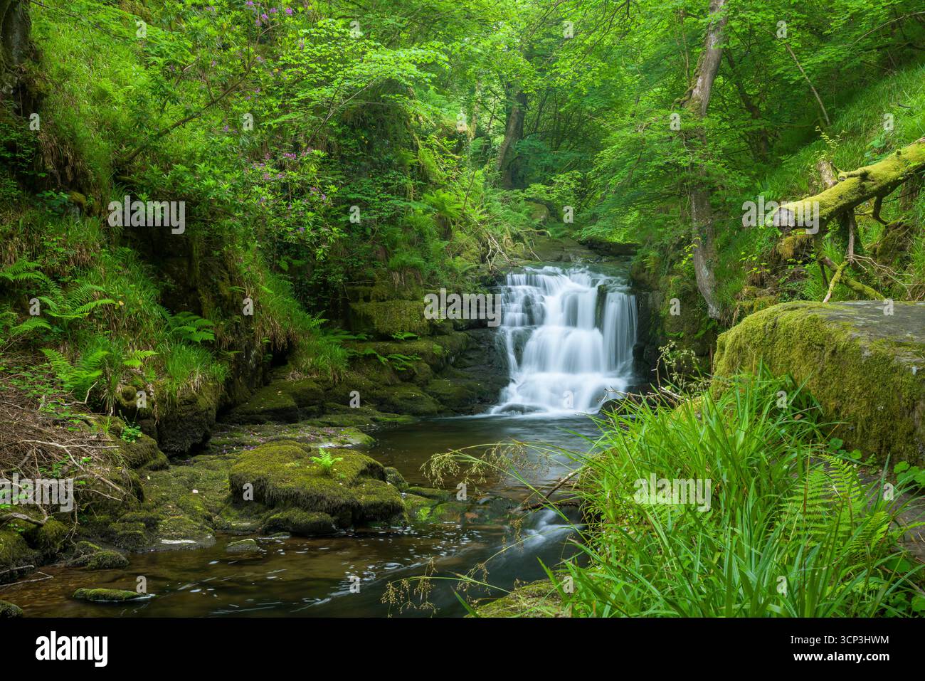 Watersmeet waterfall in devon britain hi-res stock photography and ...