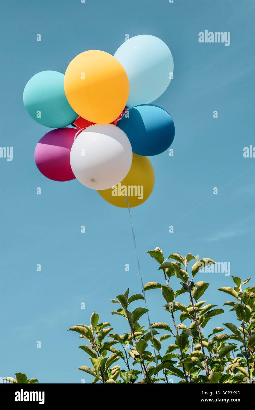 Balloons hanging on tree hi-res stock photography and images - Alamy