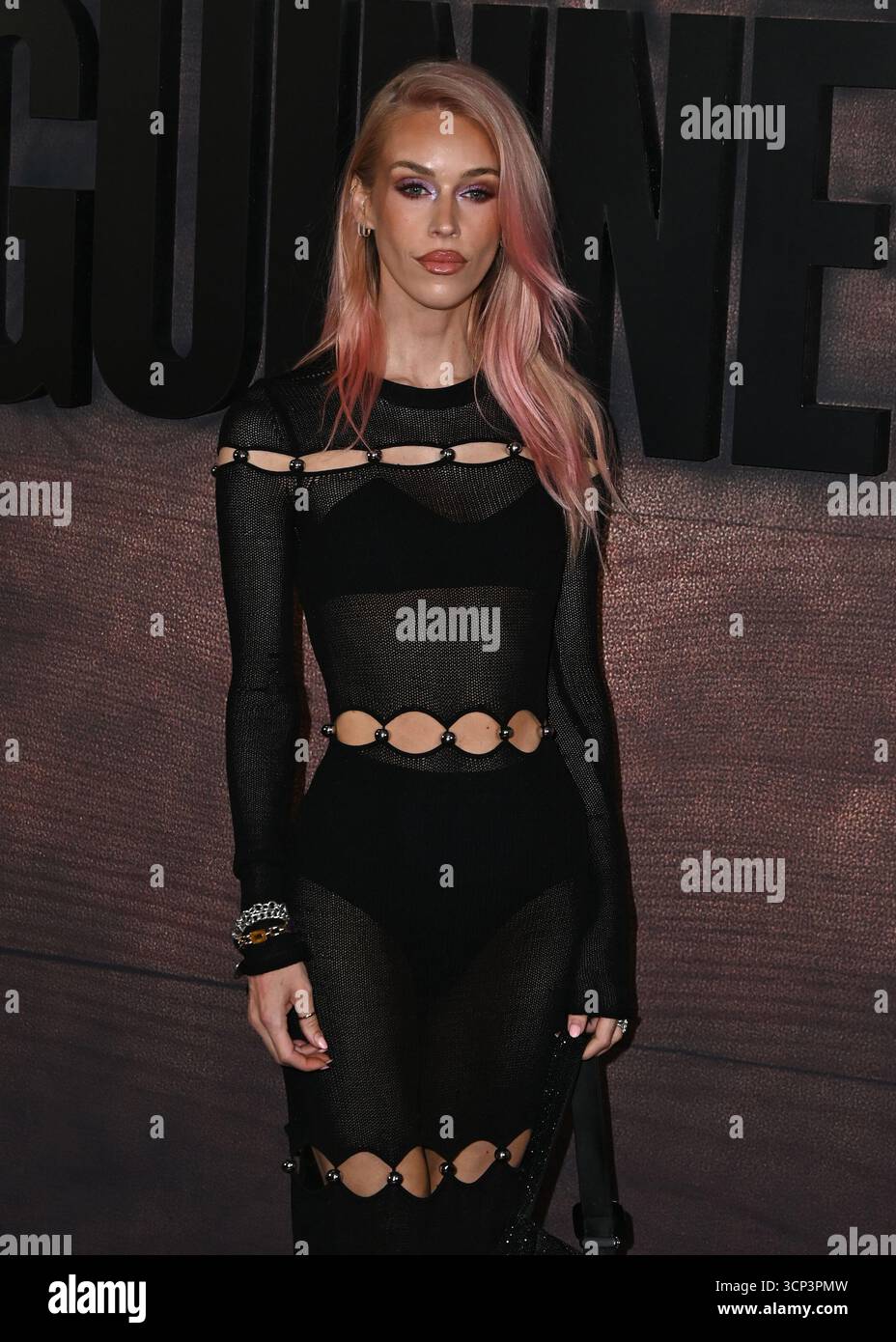 Lady Mary Charteris attends the "House of Guinness" London Premiere at ...