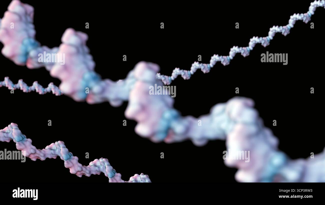 Rna catalysis hi-res stock photography and images - Alamy