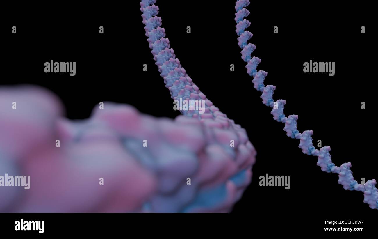 Transfer rna hi-res stock photography and images - Alamy