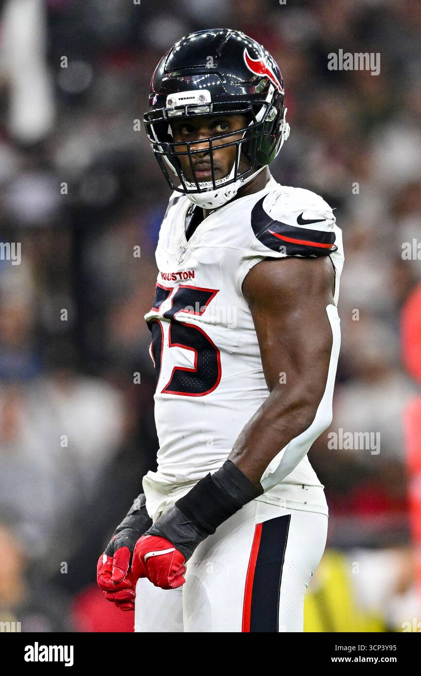 Houston Texans defensive end Danielle Hunter (55) looks on during the ...