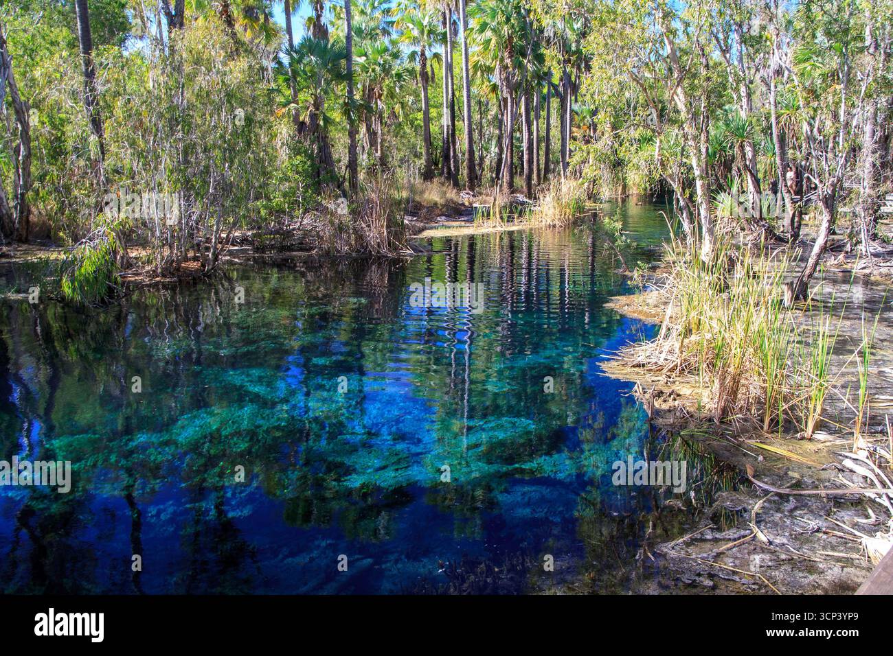 Bitter pool hi-res stock photography and images - Alamy