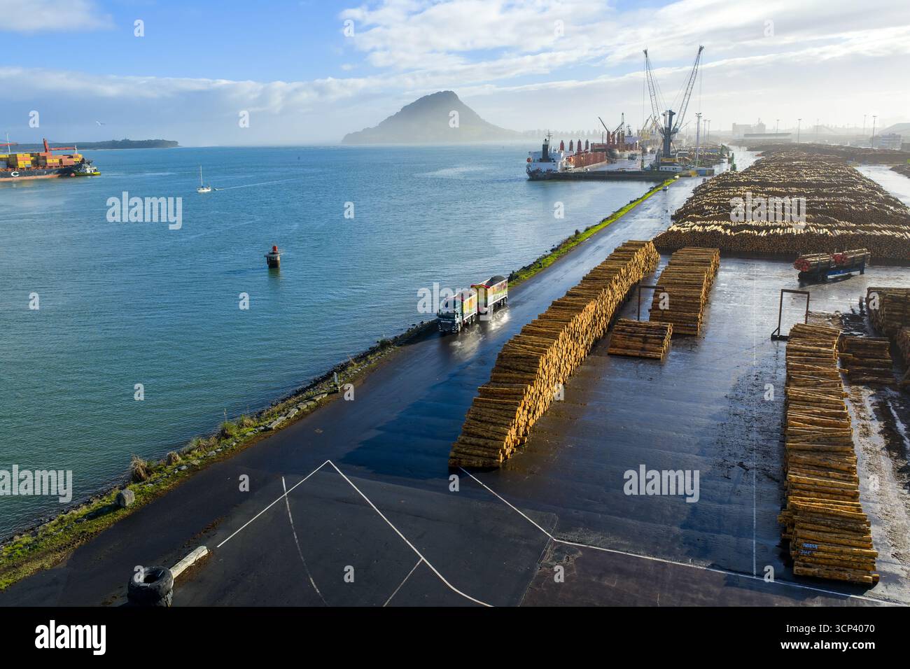 Aerial view of logs lined up at the port with ships and Mount Maunganui ...