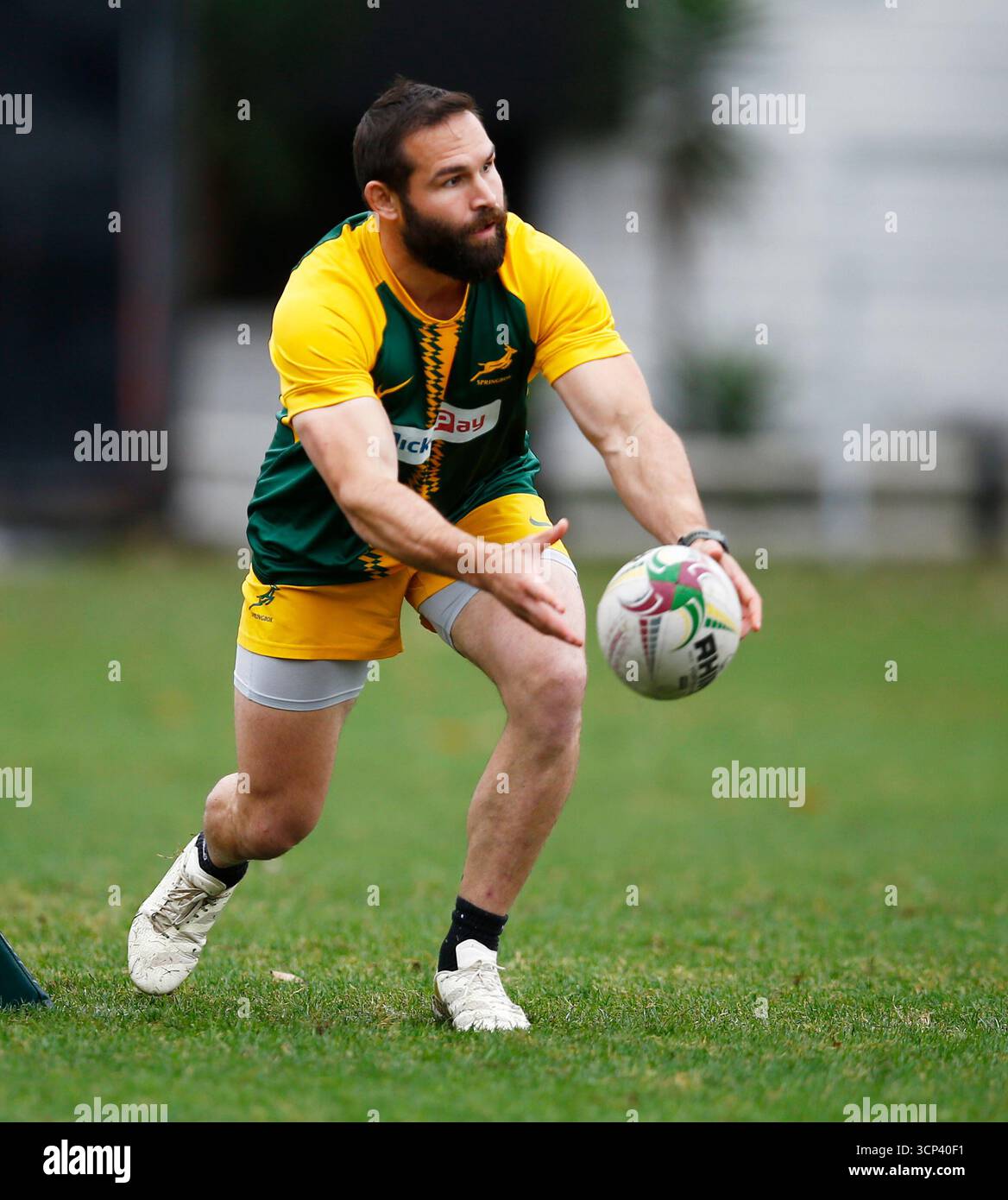Cobus Reinach of South Africa during The Rugby Championship South ...