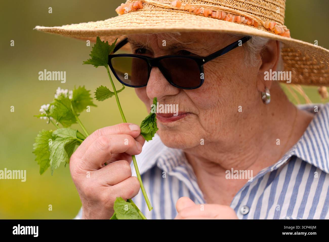 Nelda Quigley, of Beverly, Mass., smells a plant during a foraging ...