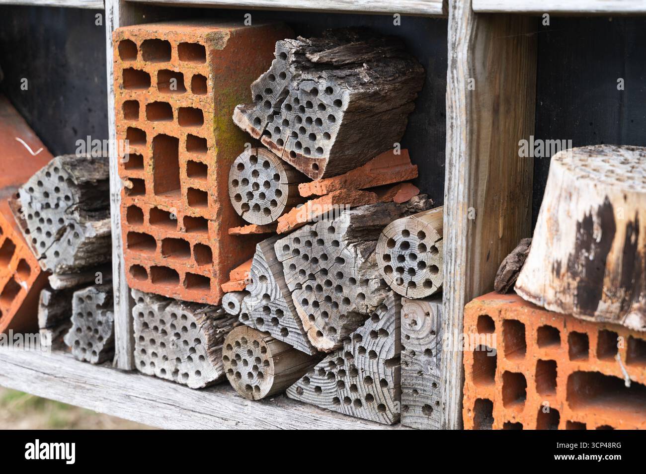 A curated collection of natural materials for insect habitats in ...