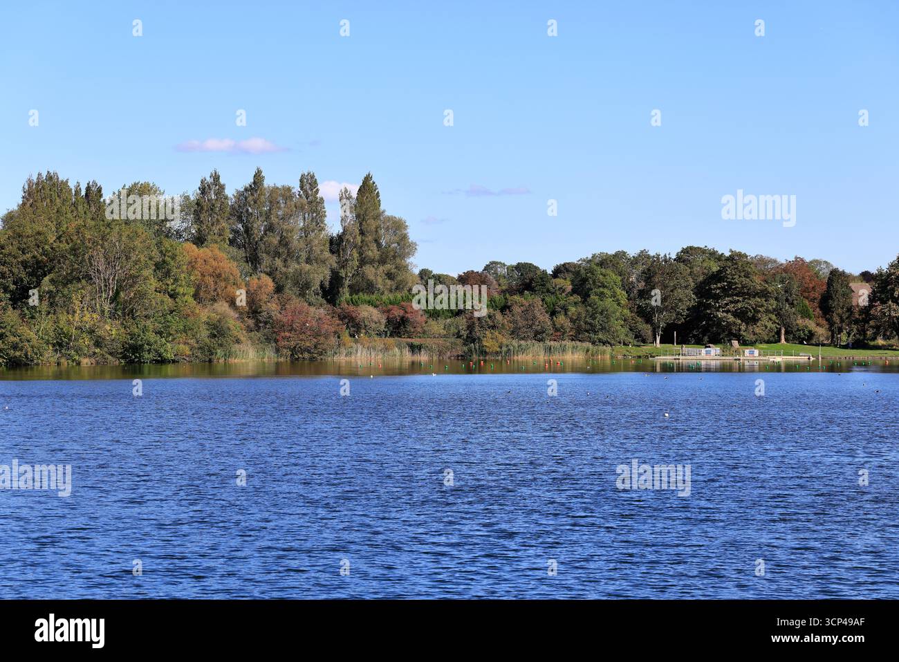 Cosmeston Lakes and |Country Park, Penarth, South Wales. Taken ...