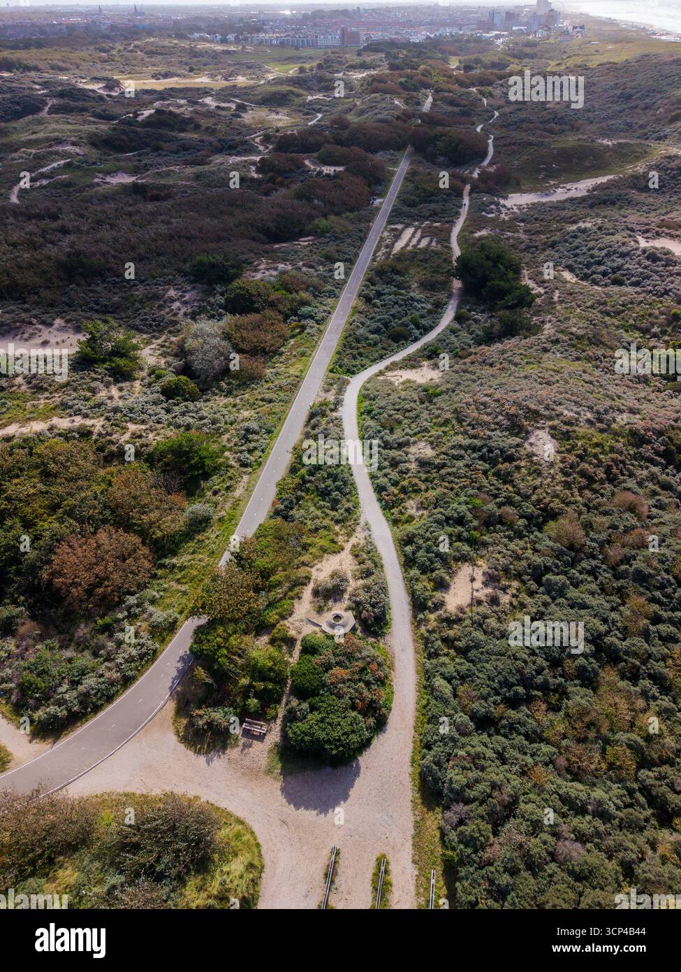 Aerial view of winding paved and dirt paths weaving through green ...