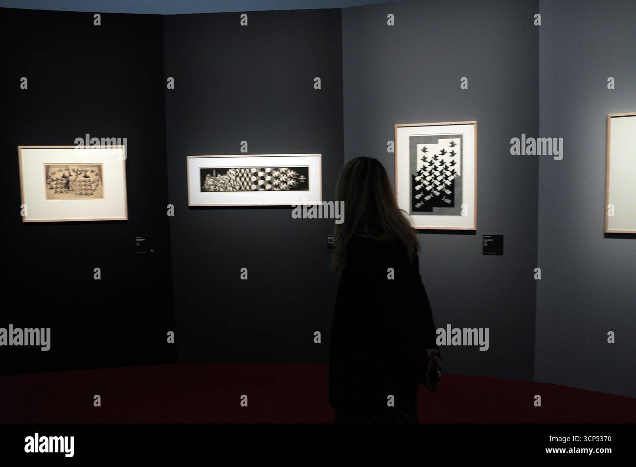 Milan, Preview of the MC Escher Exhibition at Mudec, Museum of Cultures ...