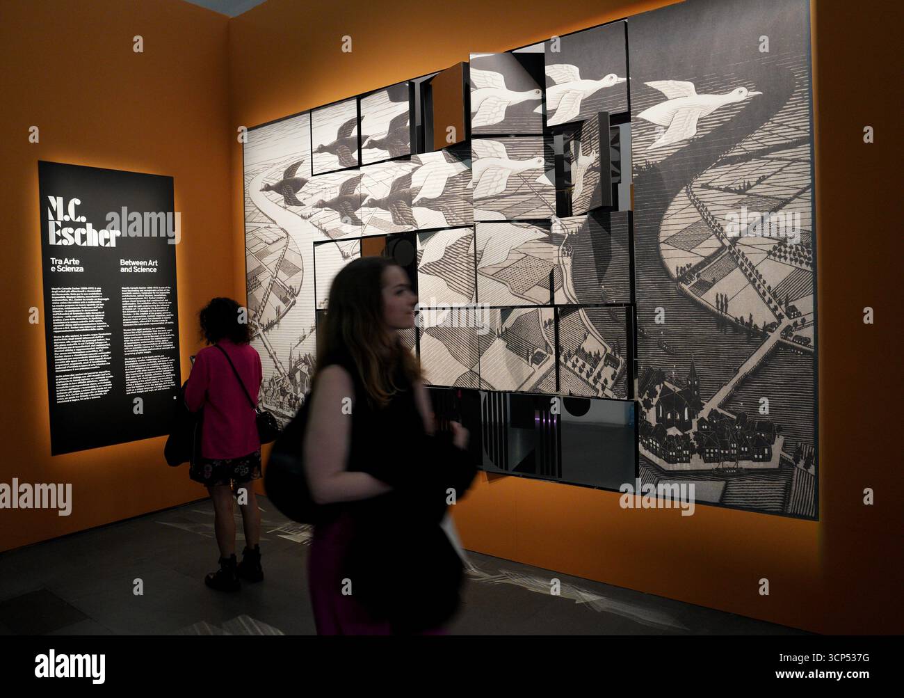 Milan, Preview of the MC Escher Exhibition at Mudec, Museum of Cultures ...