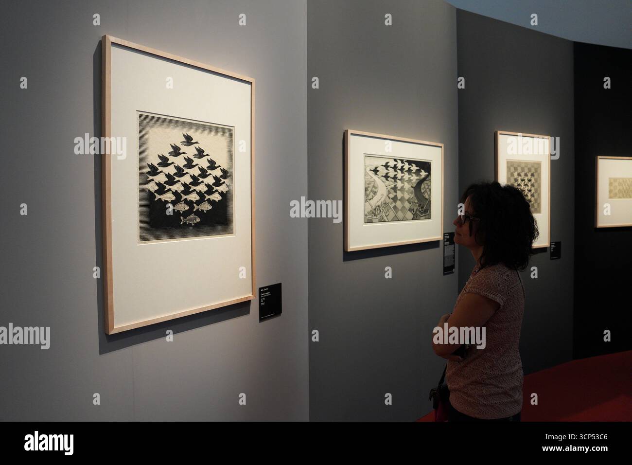 Milan, Preview of the MC Escher Exhibition at Mudec, Museum of Cultures ...