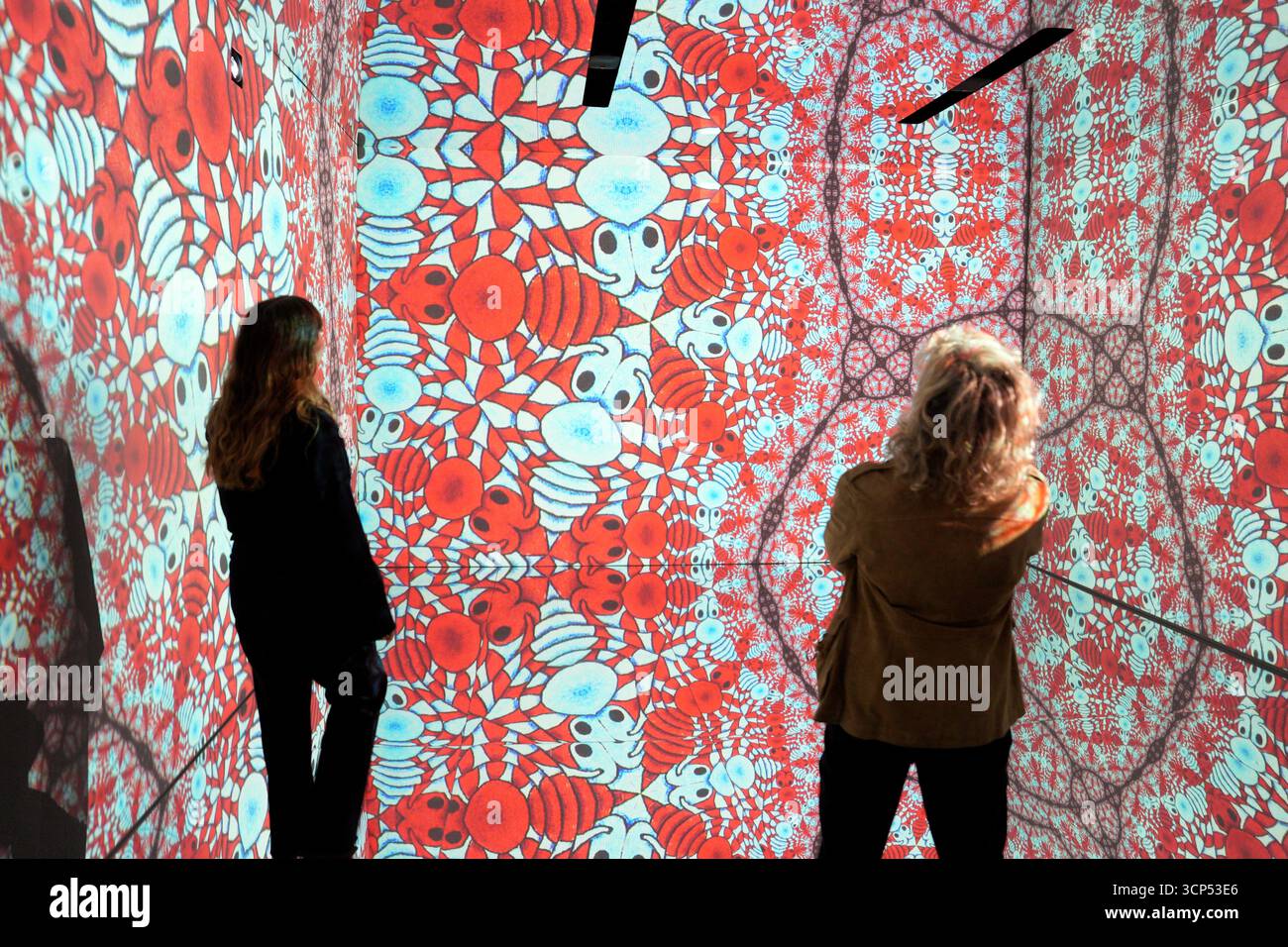 Milan, Preview of the MC Escher Exhibition at Mudec, Museum of Cultures ...