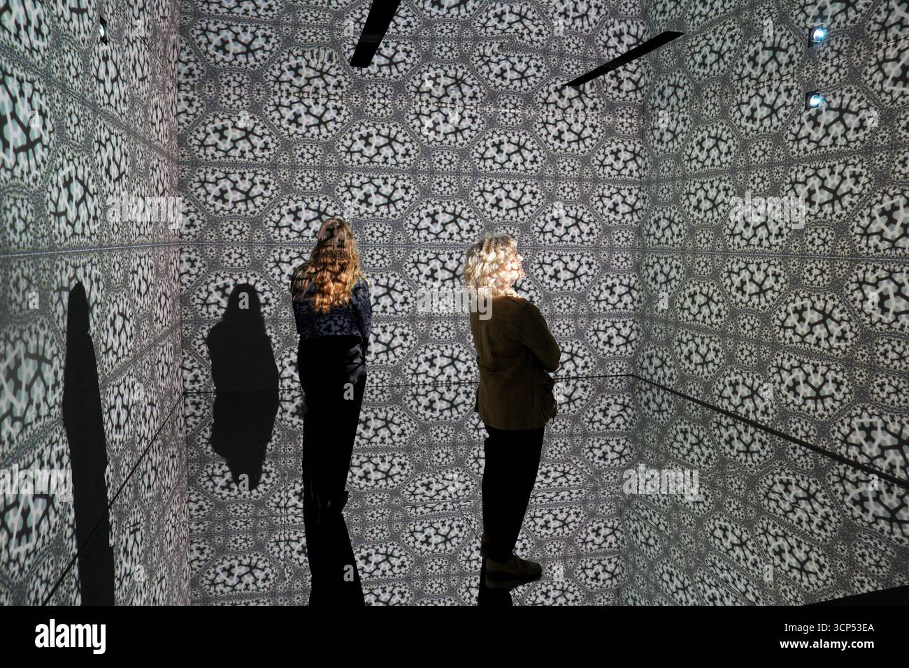 Milan, Preview of the MC Escher Exhibition at Mudec, Museum of Cultures ...