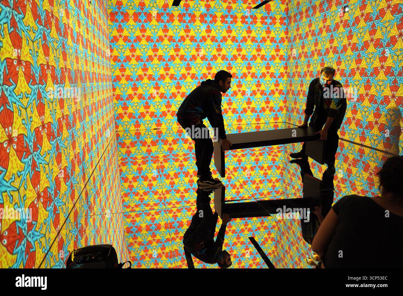 Milan, Preview of the MC Escher Exhibition at Mudec, Museum of Cultures ...