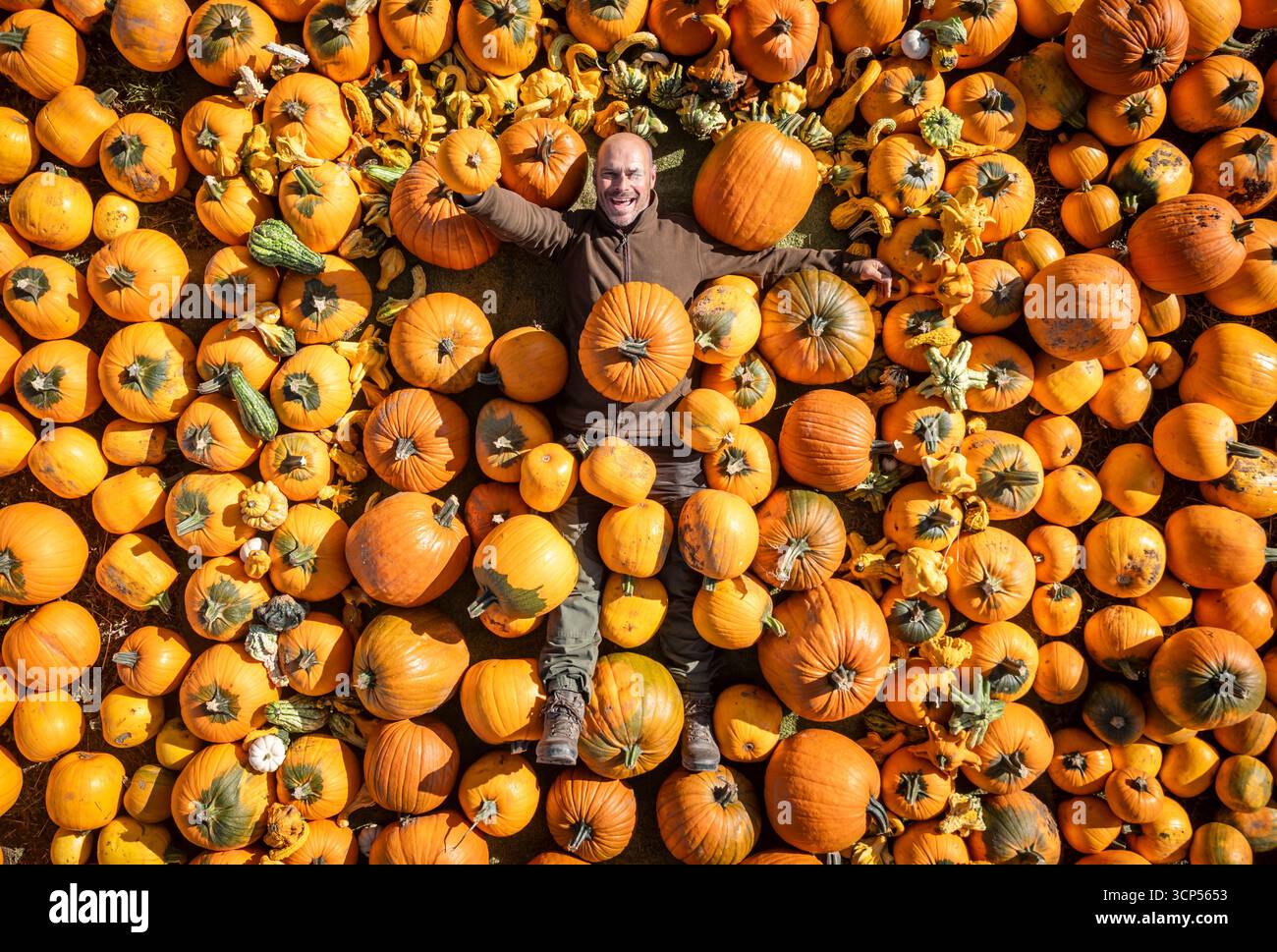 Farmer Tom Spilman with some of the 150,000 pumpkins harvested at ...