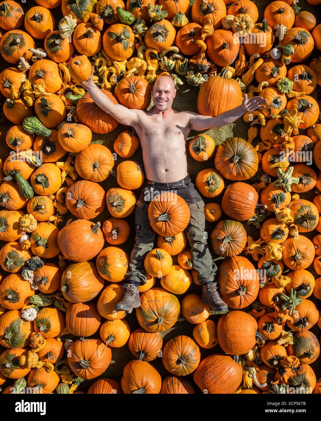 Farmer Tom Spilman with some of the 150,000 pumpkins harvested at ...