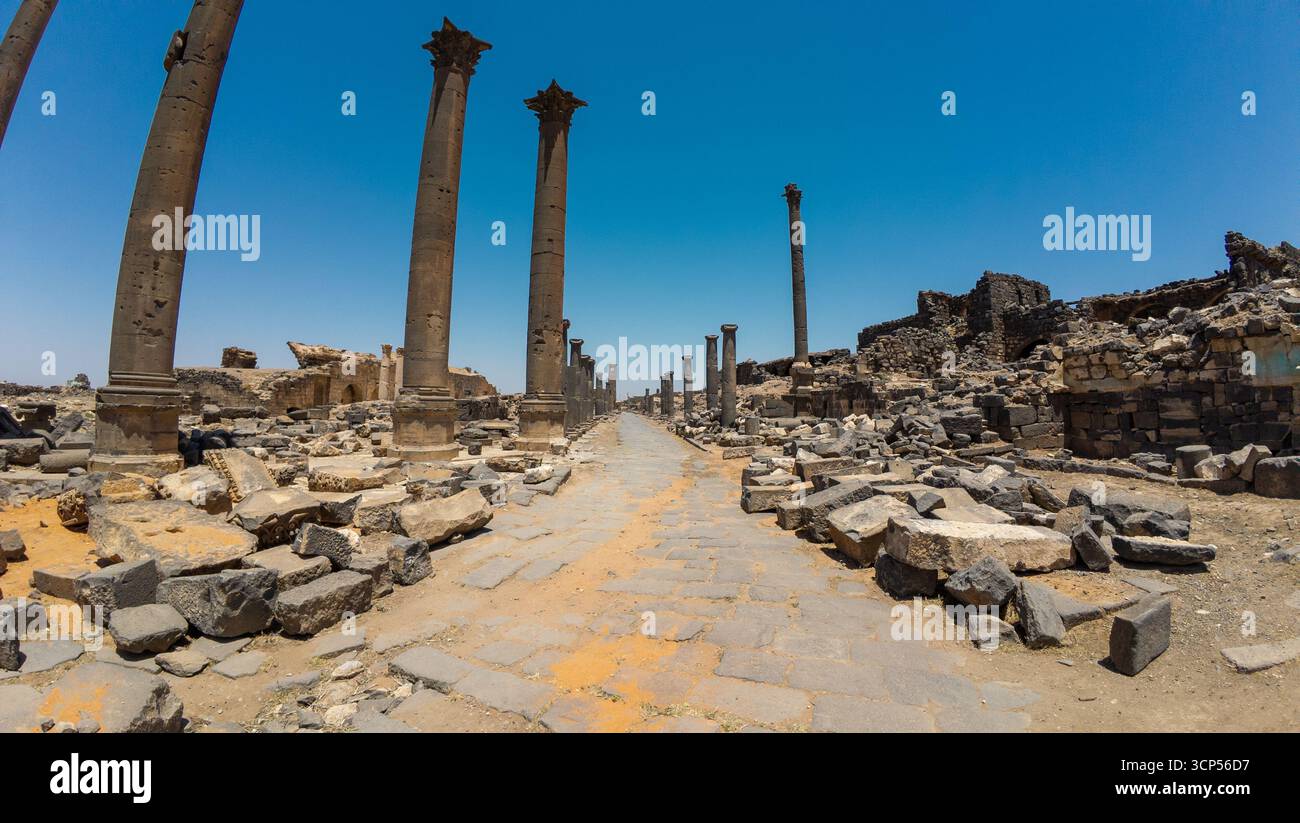 Ancient Roman ruins with tall columns and stone pathway under clear ...