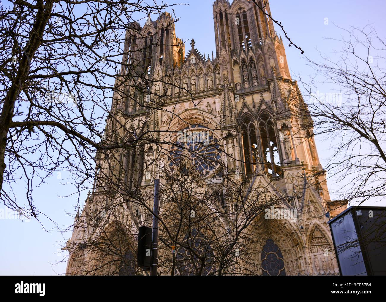 Gothic cathedral facade with rose window and towers behind tree ...