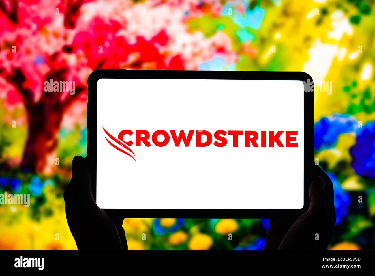 In this photo illustration, CrowdStrike's logo is displayed on the ...