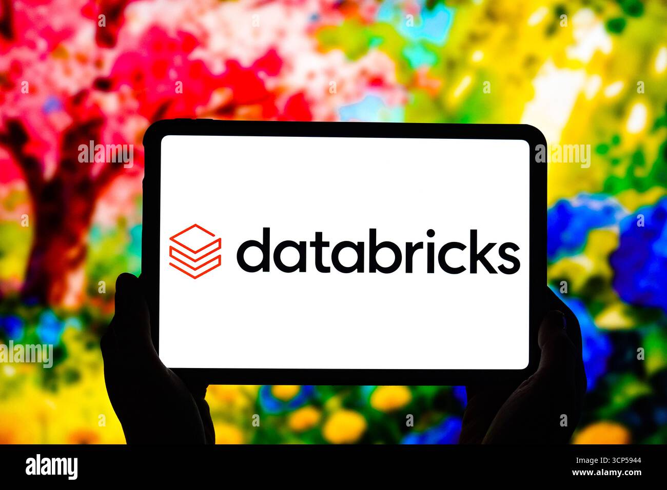 In this photo illustration, Databricks' logo is displayed on the screen ...