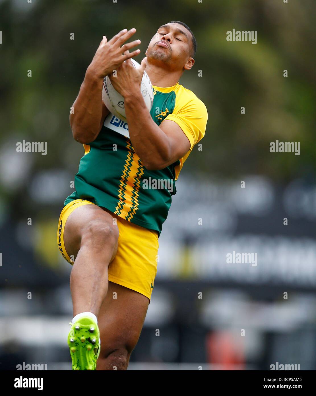 Damian Willemse of South Africa during The Rugby Championship South ...