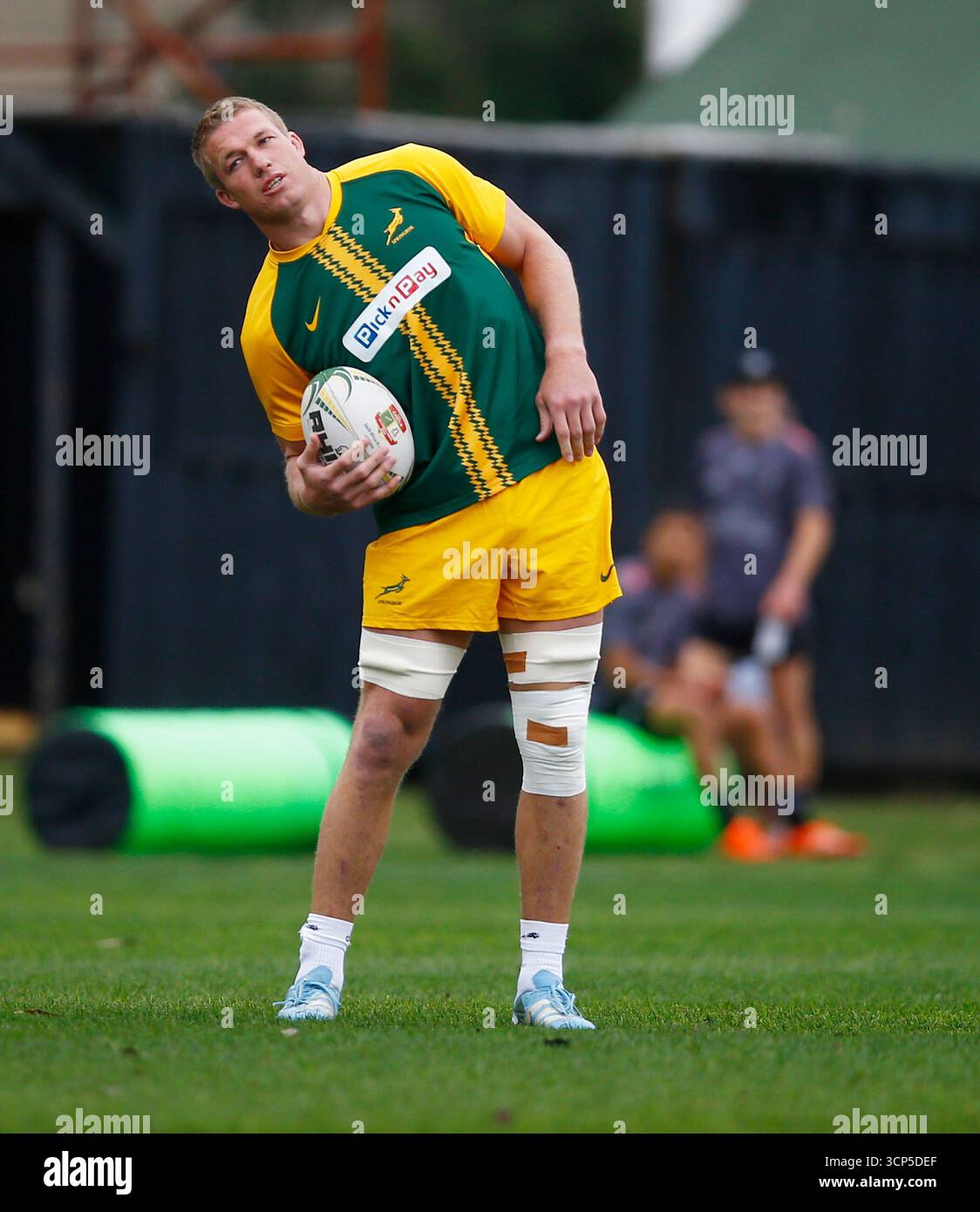 Pieter-Steph du Toit of South Africa during The Rugby Championship ...