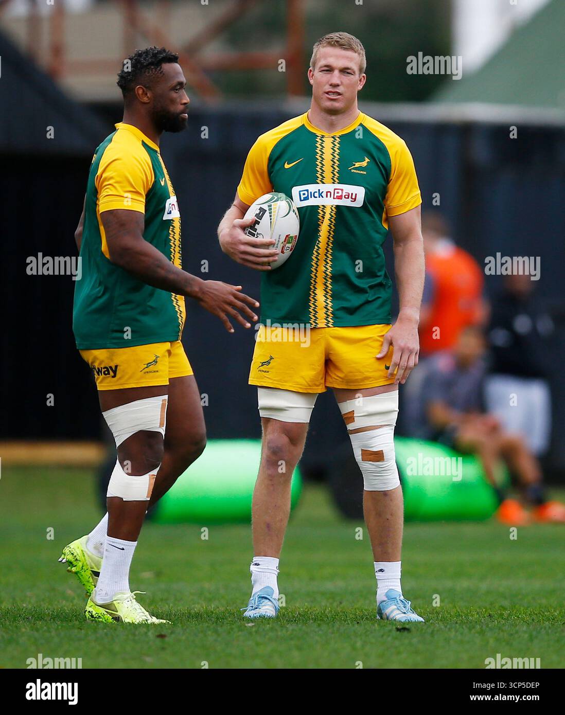 Siya Kolisi (c) of South Africa with Pieter-Steph du Toit of South ...