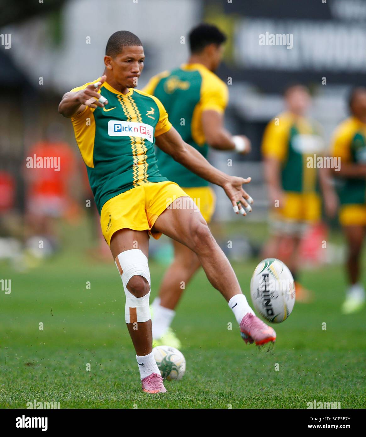 Manie Libbok of South Africa during The Rugby Championship South Africa ...