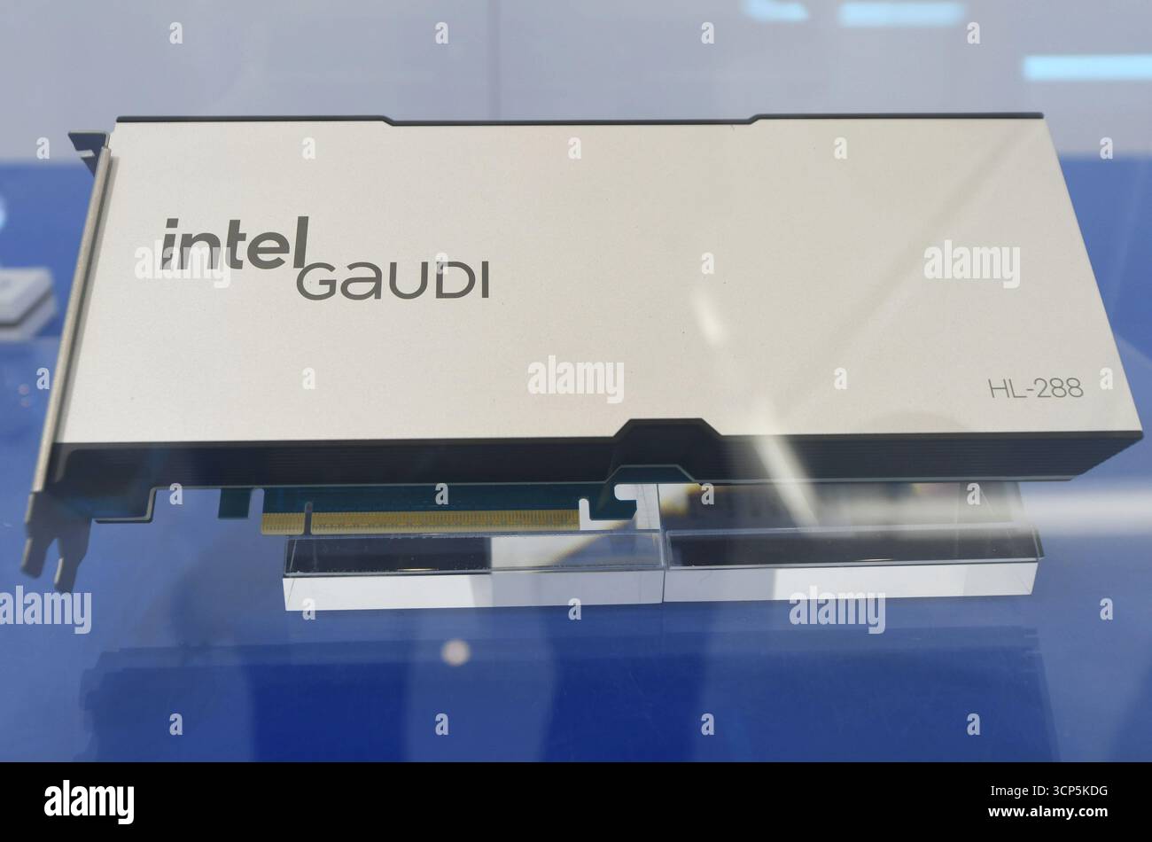 A view of an Intel Gaudi 2E AI accelerator HL-288 PCIe GPU card ...