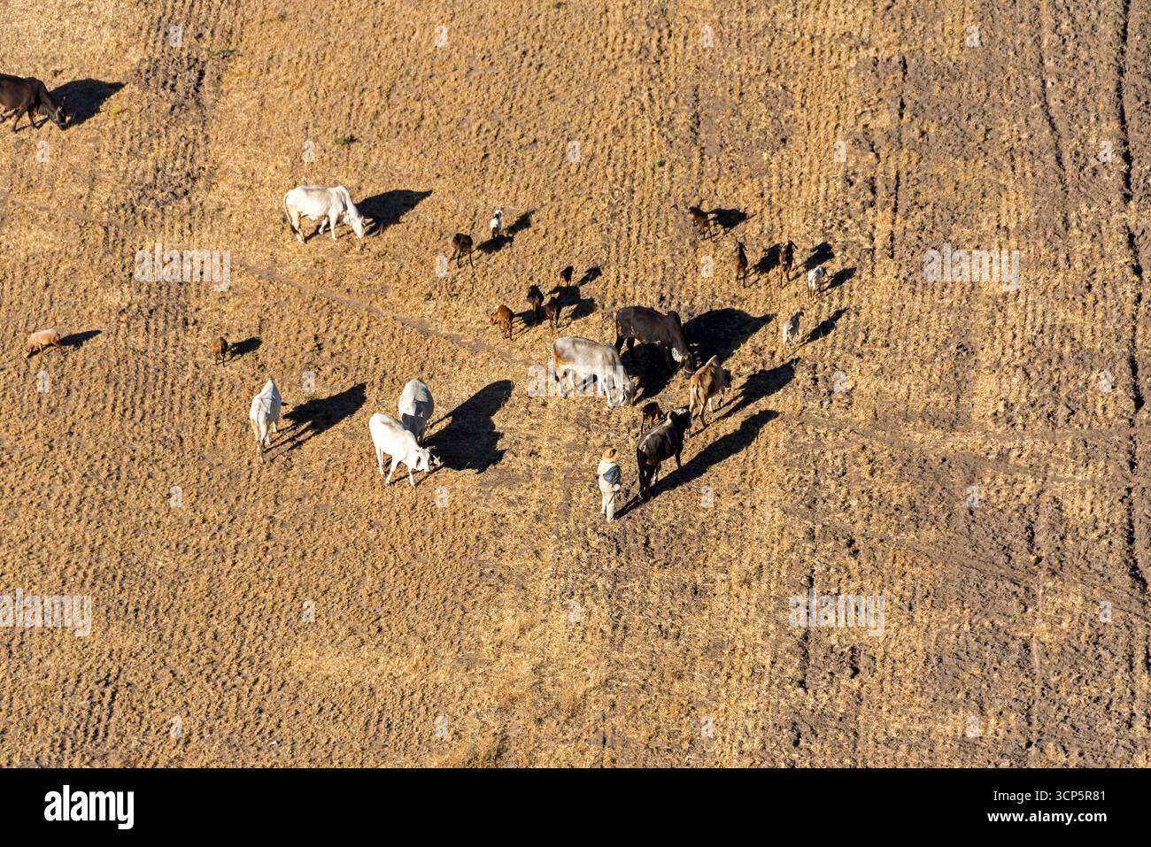 Yagul Archaeological Zone, Oaxaca, Mexico Stock Photo - Alamy