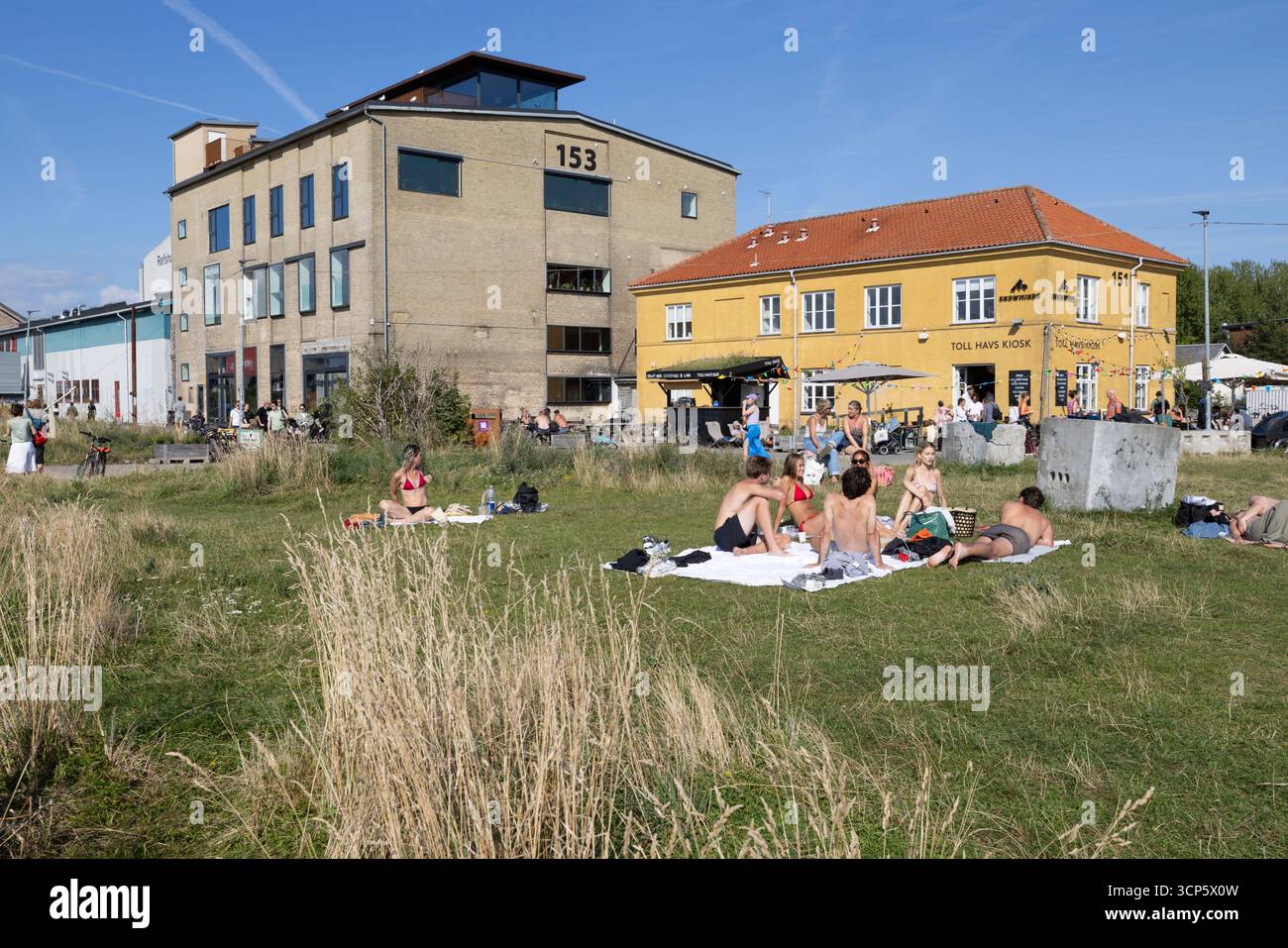 Swimming and sunbathing in the Refshaleoen area, Copenhagen, Zealand ...