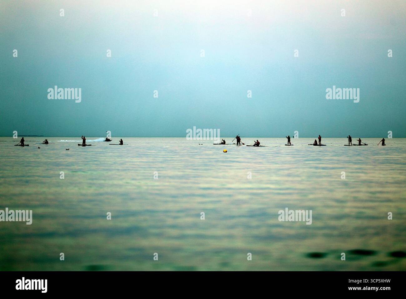 Paddleboarders on calm sea hi-res stock photography and images - Alamy
