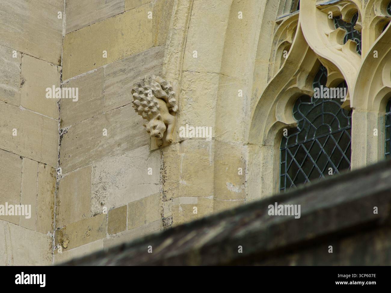 Modern day gargoyles depicting creatures from C.S Lewis Chronicles of ...