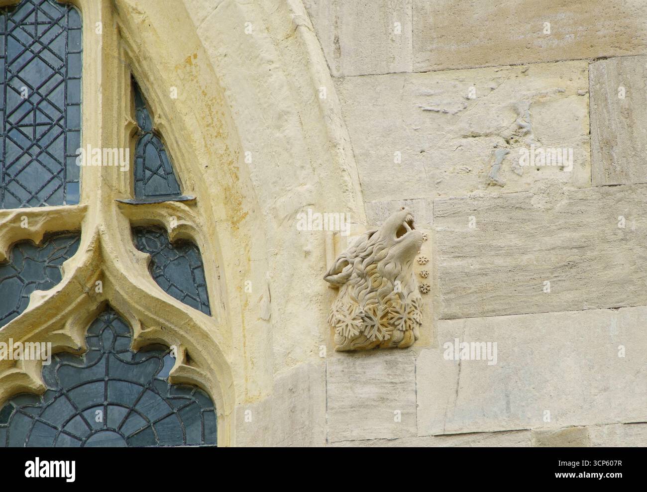 Maugrim hi-res stock photography and images - Alamy