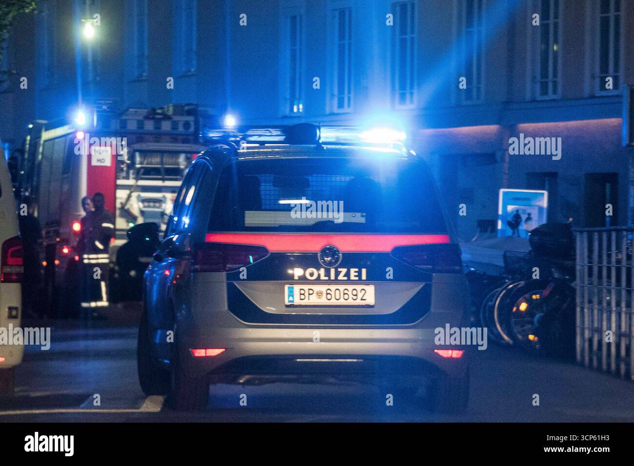 blue light signal on a police car in the evening police blue light in ...