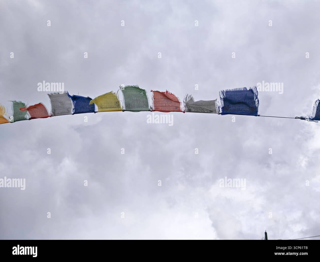 tibetan prayer flag in buddhism to promote peace, compassion, strength ...