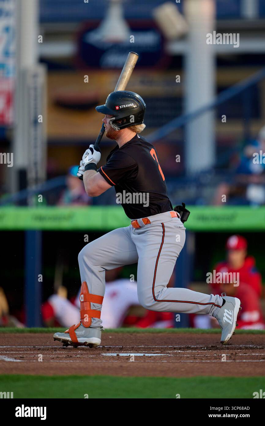 Chesapeake Baysox Ethan Anderson (2) bats during an MiLB Eastern League ...