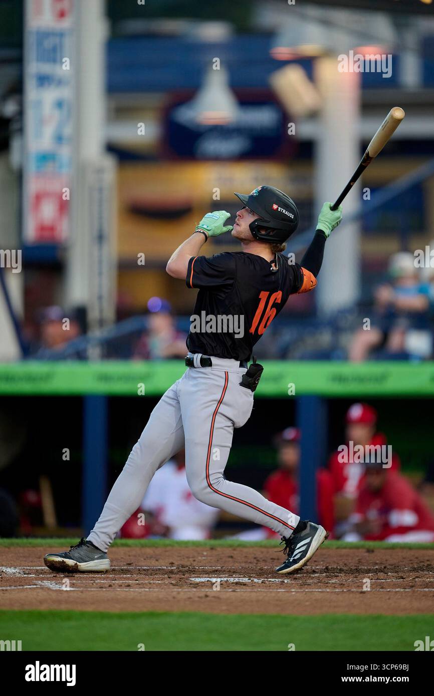 Chesapeake Baysox Reed Trimble (16) bats during an MiLB Eastern League ...