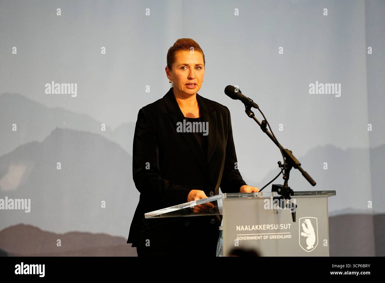 Denmark Prime Minister Mette Frederiksen talks during a meeting in the ...