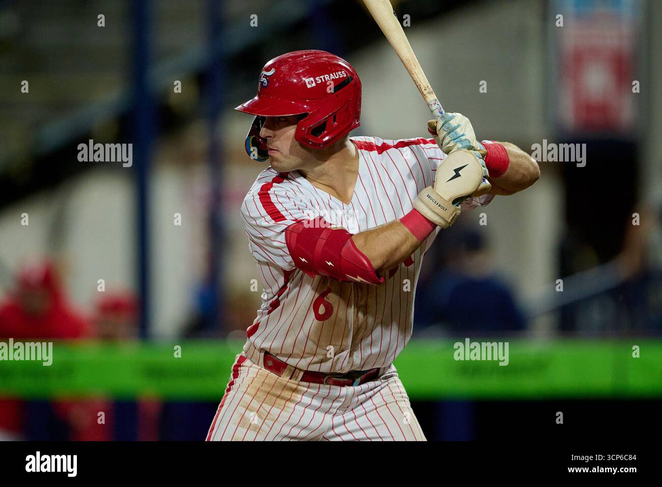 Reading Fightin Phils Carson DeMartini (6) bats during an MiLB Eastern ...