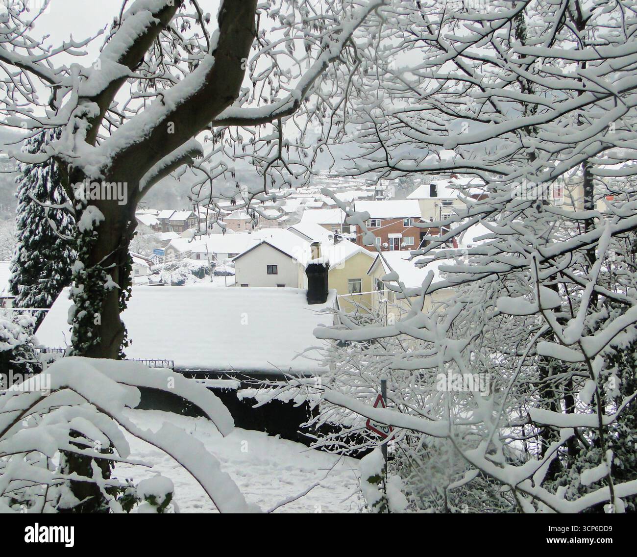 Snow laden branches frame hi-res stock photography and images - Alamy