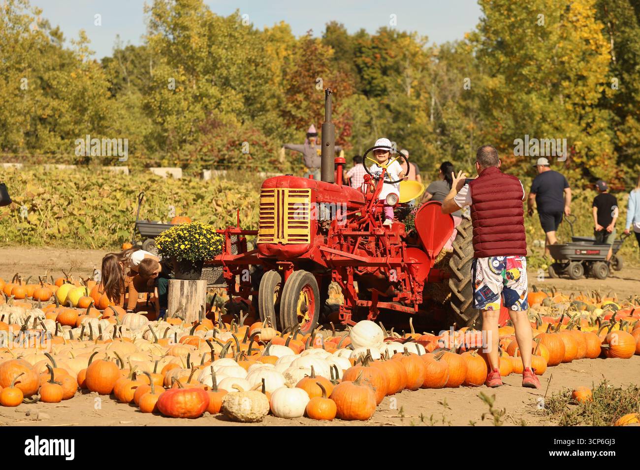 People attending a pumpkin patch on the eve of the start of the autumn ...